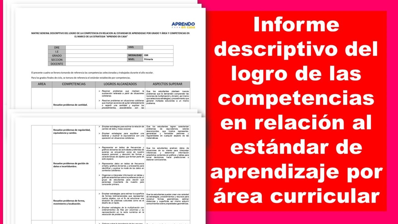Informe descriptivo del logro de las competencias en relación al ...